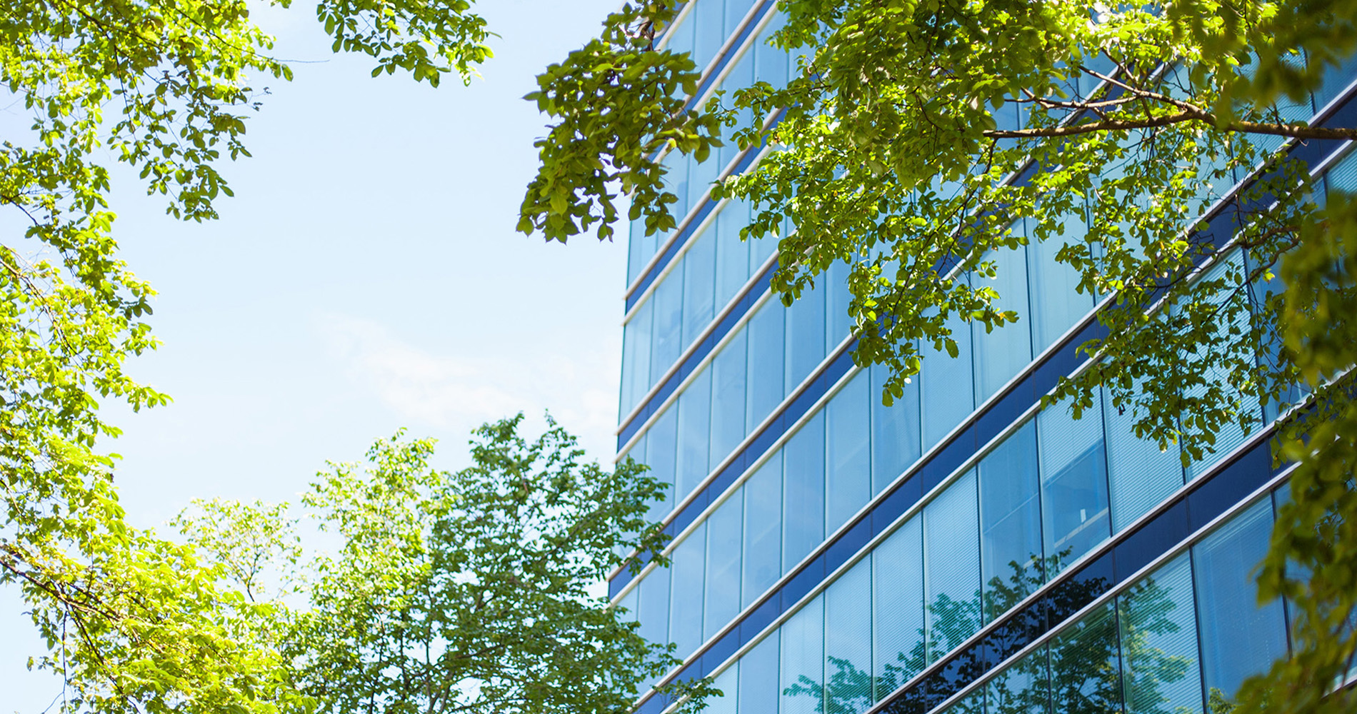 Luminia Energy Storage Collaboration with NeoVolta Expands